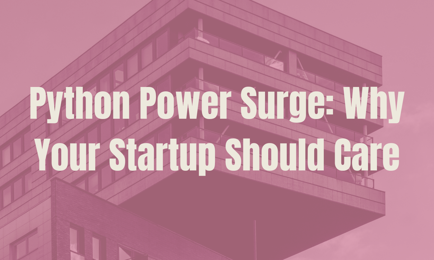 Glinteco | Blog | Python Power Surge: Why Your Startup Should Care