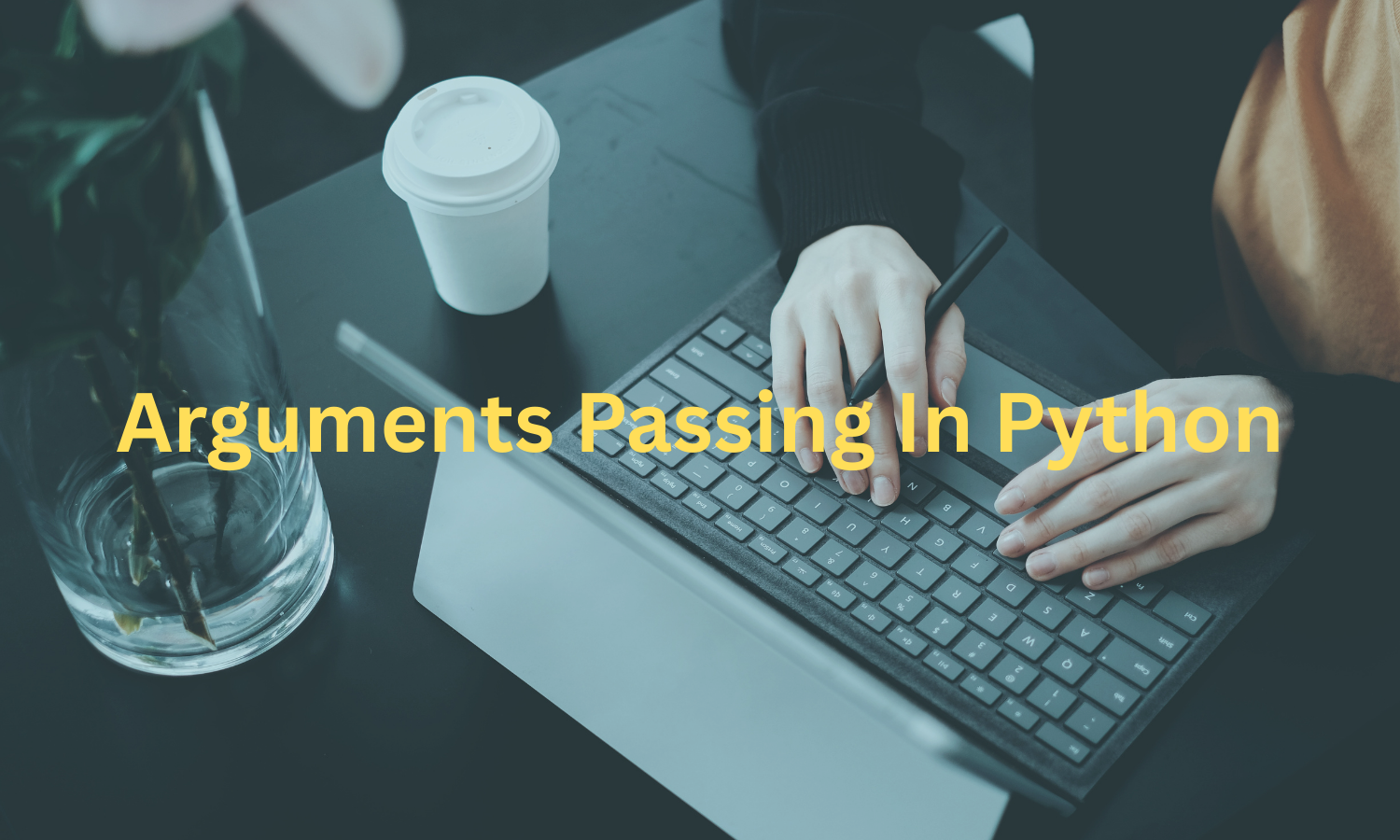 Glinteco | Blog | Arguments Passing In Python